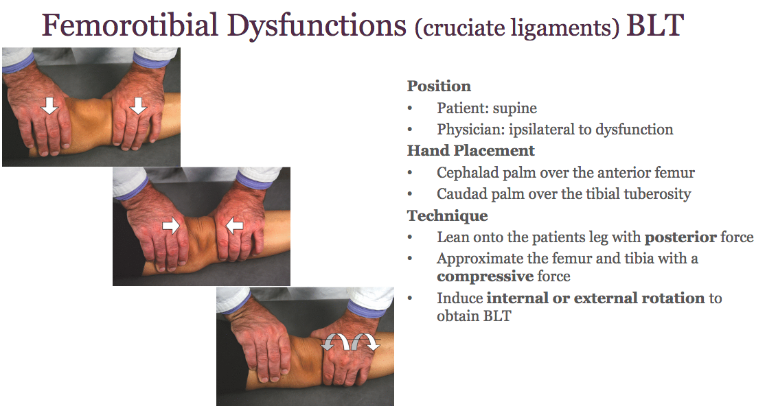 Lab 3: LE HVLA/BLT Flashcards by Erik Hammond | Brainscape