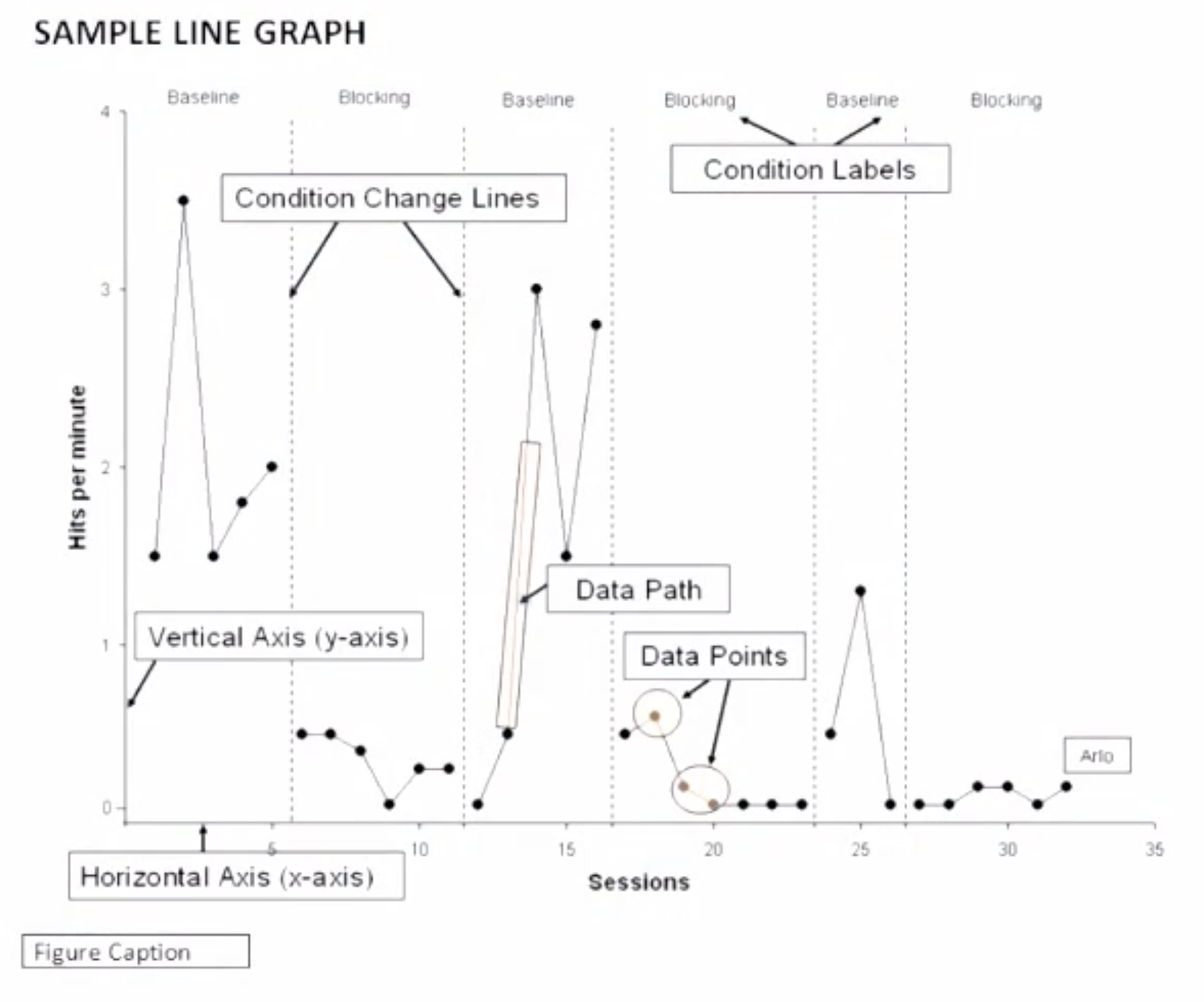 Section 7: Displaying and Interpreting Behavioral Data Flashcards by ...