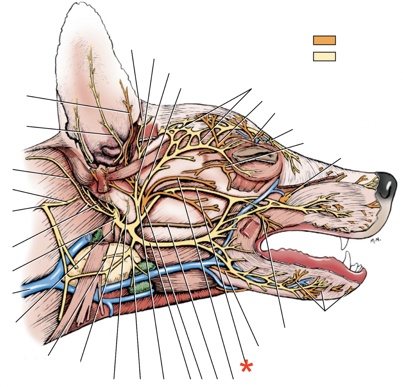 PRAC.1 Flashcards by Oliver Woodroffe | Brainscape