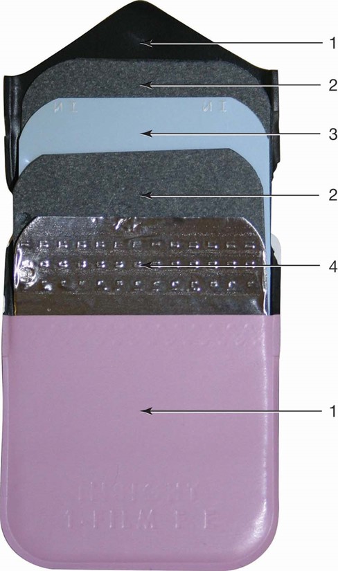 Midterm (Chs. 7, 8, 10, 11, 17, 18) Flashcards by Big Red