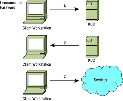 Domain 5 Flashcards by Chris McCarthy