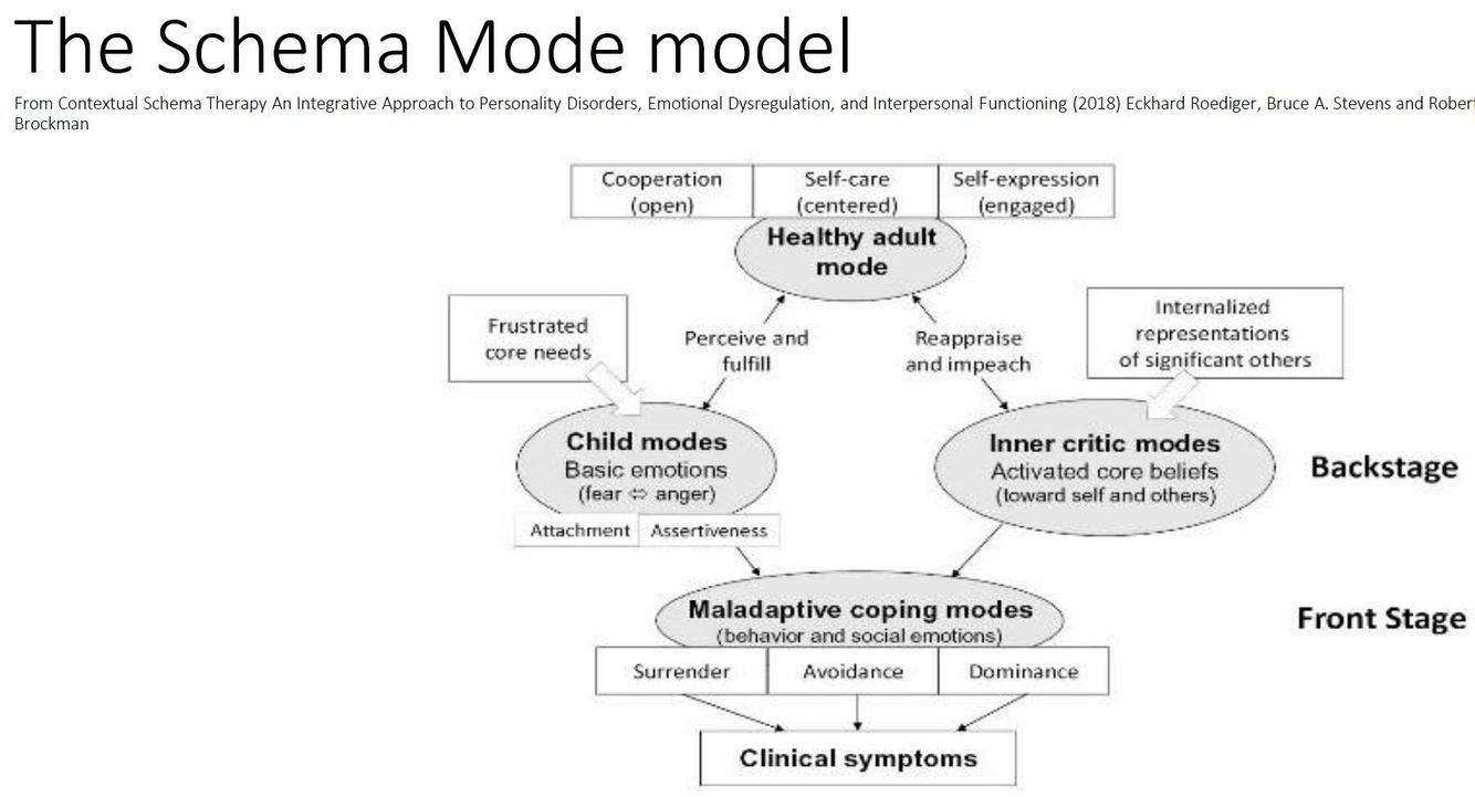Schema Therapy Flashcards by andrew bradford | Brainscape