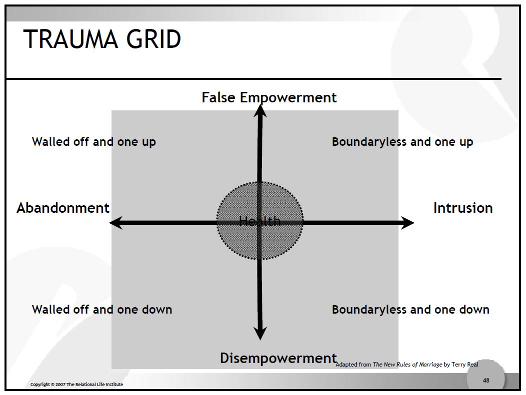 Schema Therapy Flashcards by andrew bradford