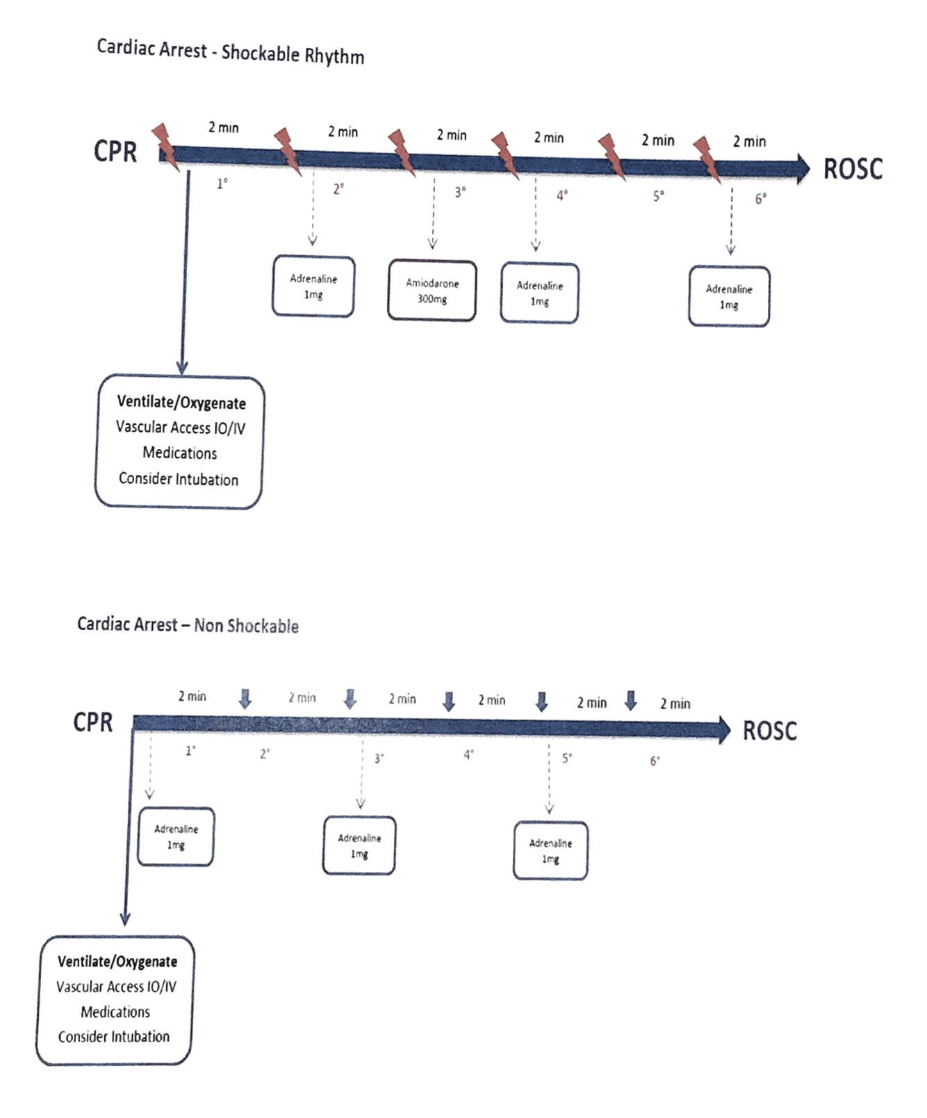 ALS and BLS Practice Questions Flashcards by Grace Yeung | Brainscape