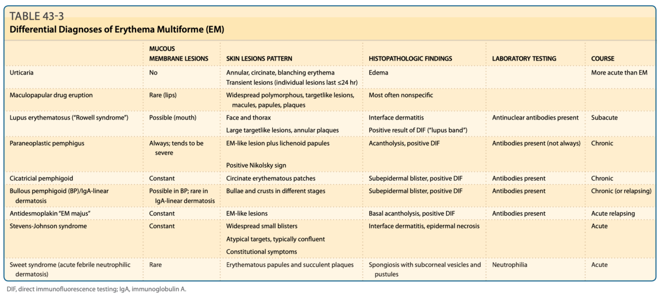 Erythema Multiforme Differential