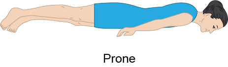 Positions for NCLEX-RN (1) Fundamentals