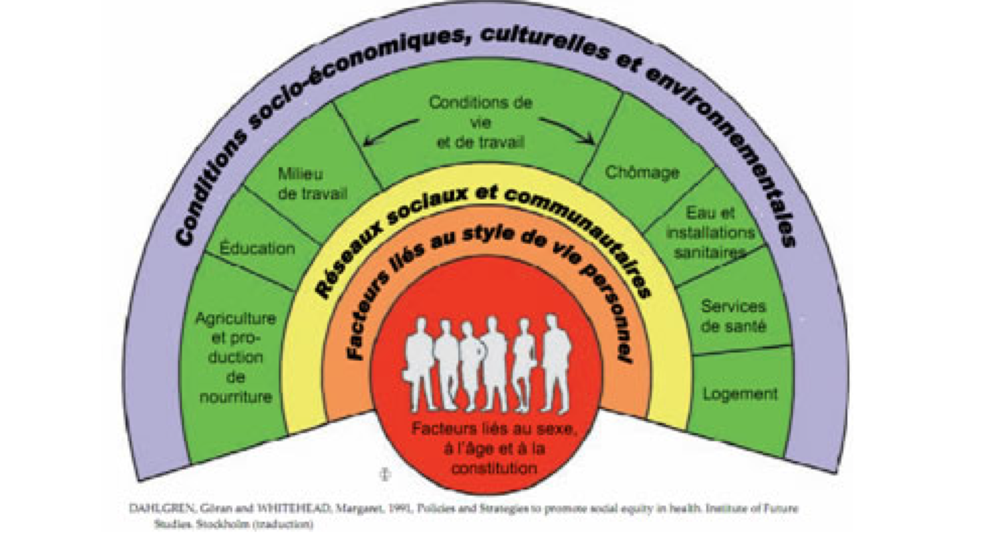 Déterminants de la santé et déterminants sociaux Flashcards by Mathiew Barnaby