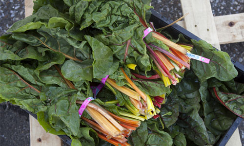 Eat Local Think Global