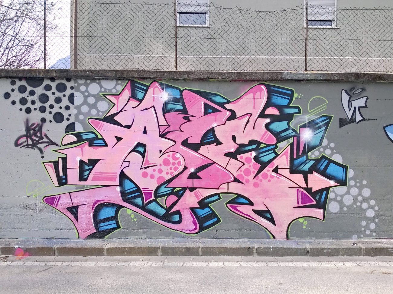 ACE (Bolzano) Graffiti Writer Spotlight | Bombing Science