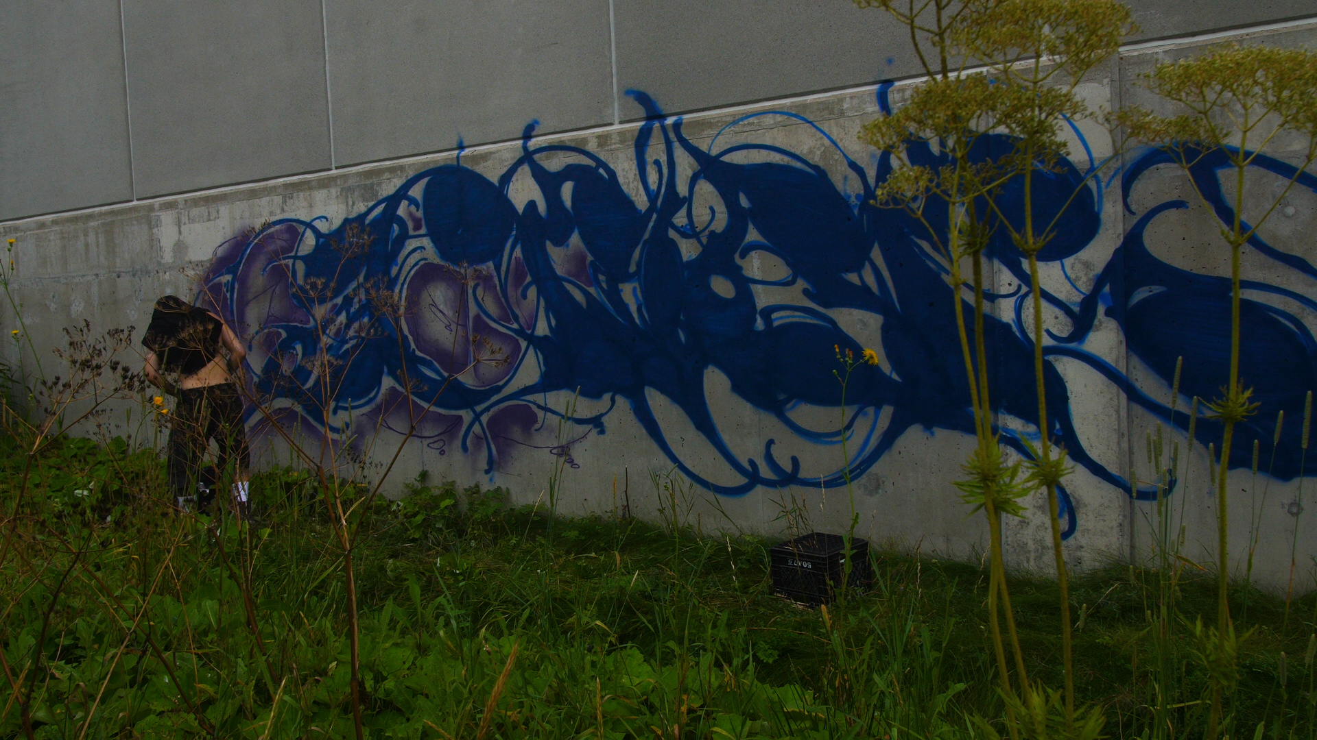 Graffiti Session: ZONER | Bombing Science