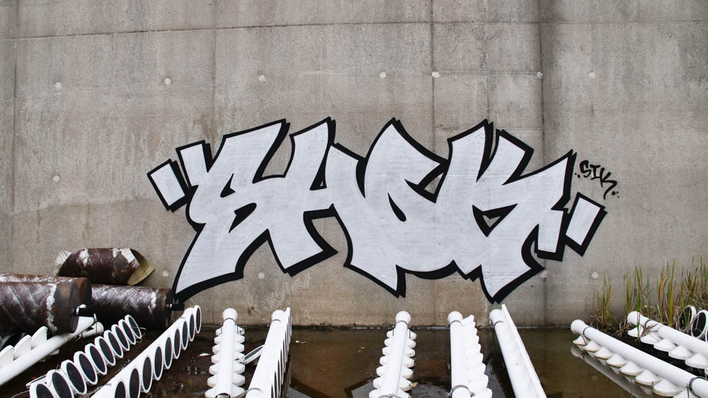 Graffiti Video: SHOK | Bombing Science