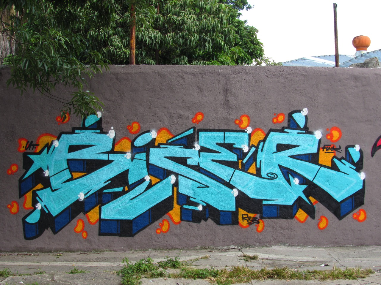 Bizer (Guadalajara) Graffiti Writer Spotlight | Bombing Science
