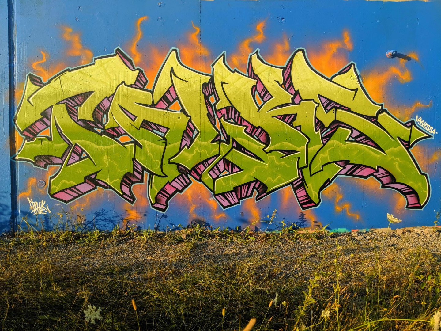 Talk (Ottawa) Graffiti Writer Spotlight | Bombing Science