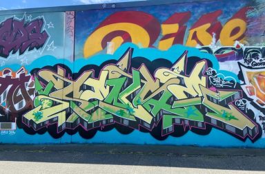 Graffiti Writers features | Bombing Science