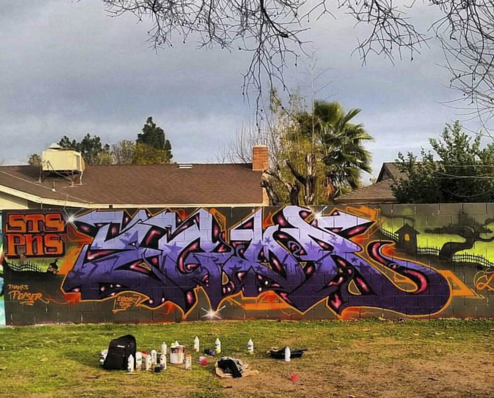 EGOR STS Graffiti Writer Spotlight (Orange County) Bomingscience.com