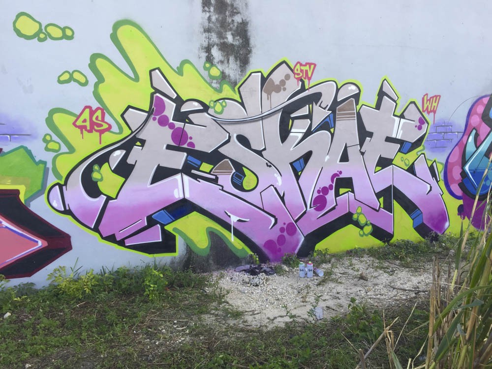 ESKAE Graffiti Writer Spotlight (Miami) Bomingscience.com