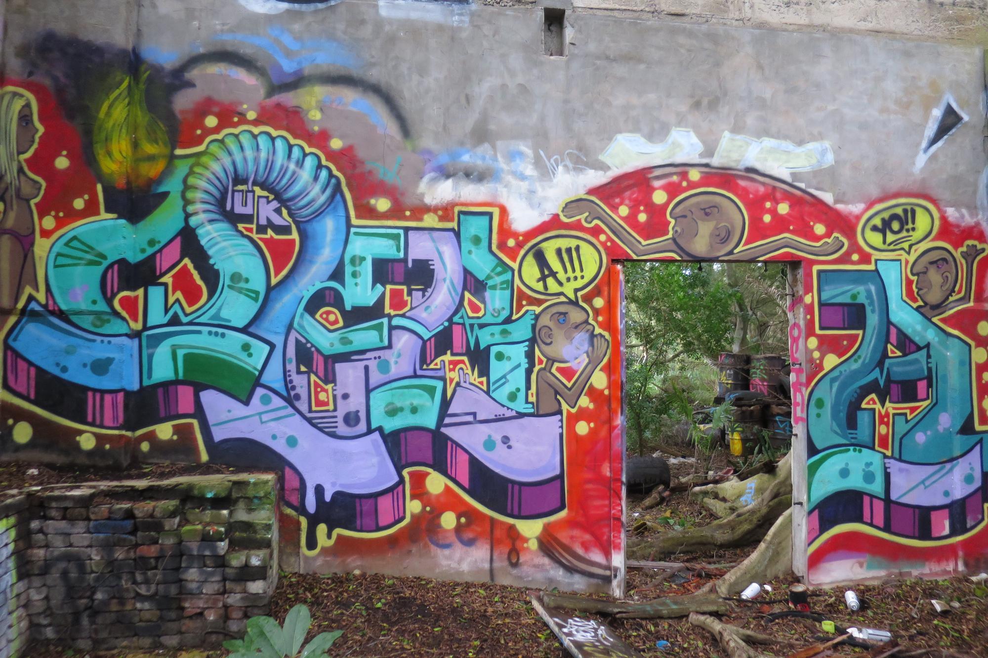 Honolulu - Graffiti in the tropics - Bombing Science