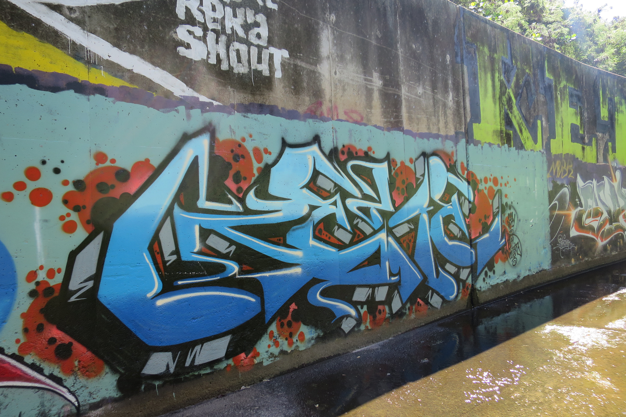 Honolulu - Graffiti in the tropics - Bombing Science