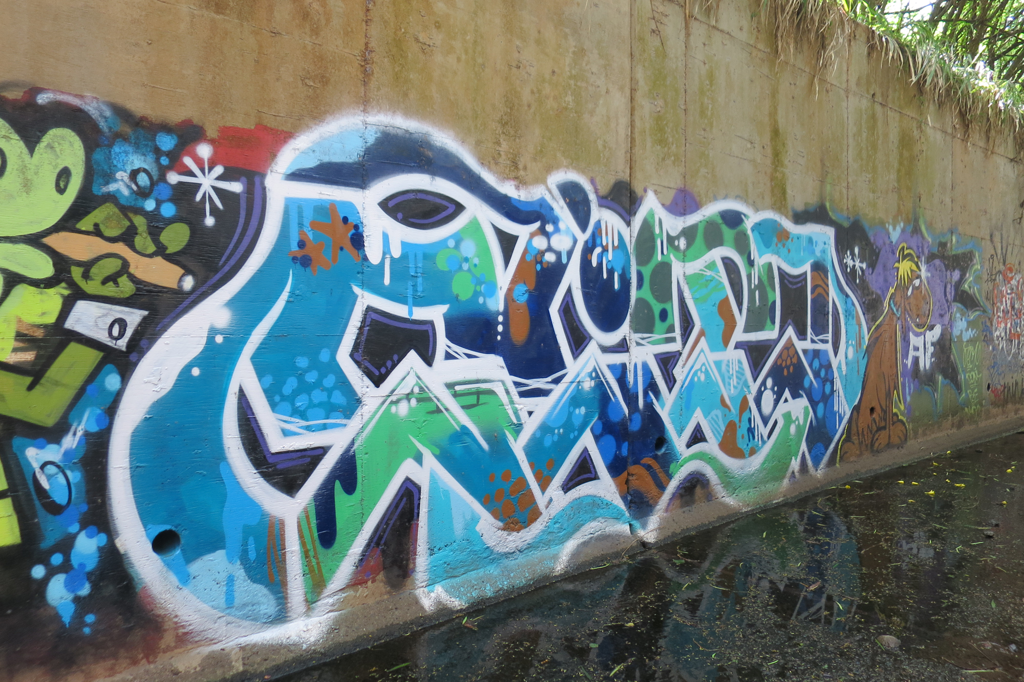 Honolulu - Graffiti in the tropics - Bombing Science