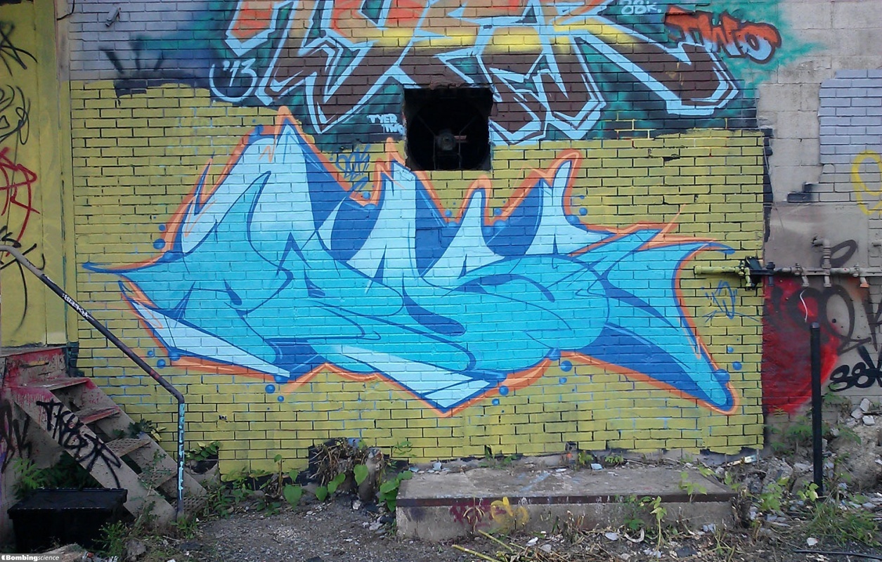 Syracuse Graffiti Pictures | Bombing Science