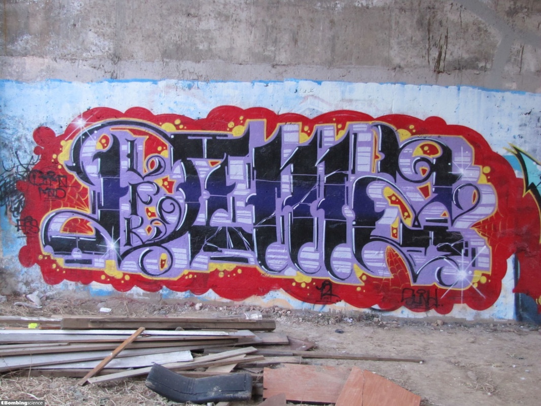 Dimz - Bombing Science