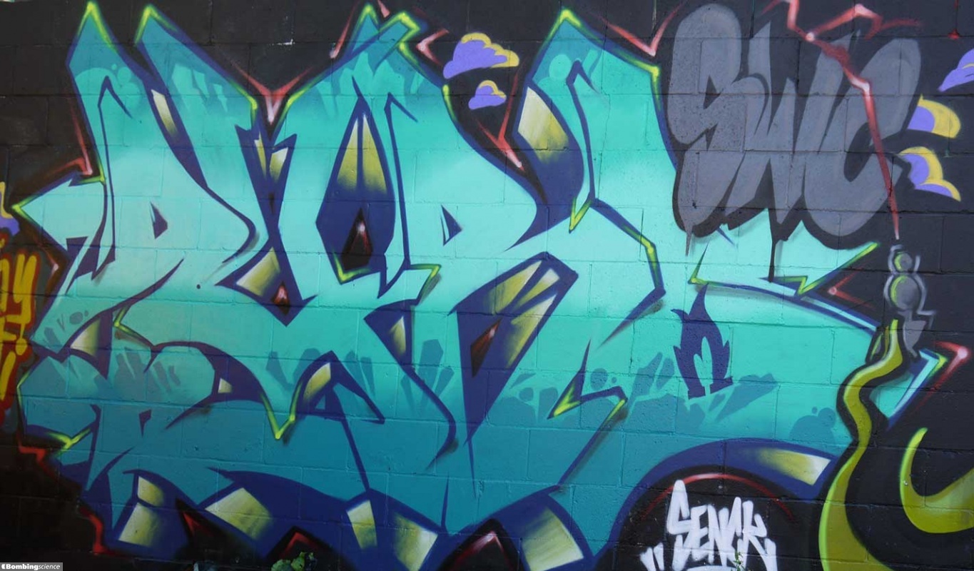 Pyro Flame Paint Test - Bombing Science