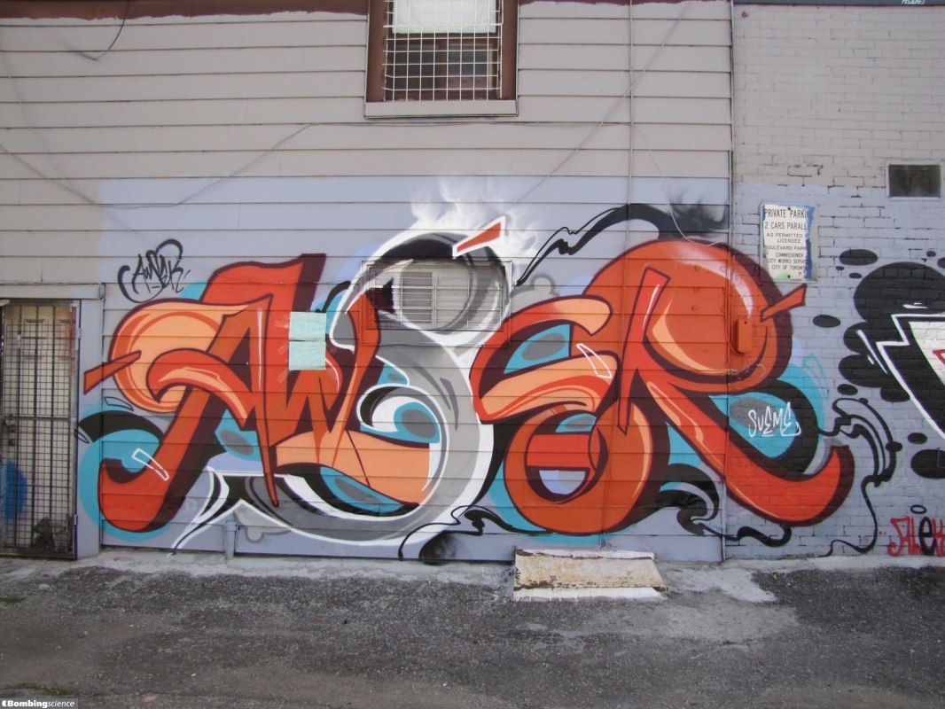 Toronto walls (10 pics) - Bombing Science
