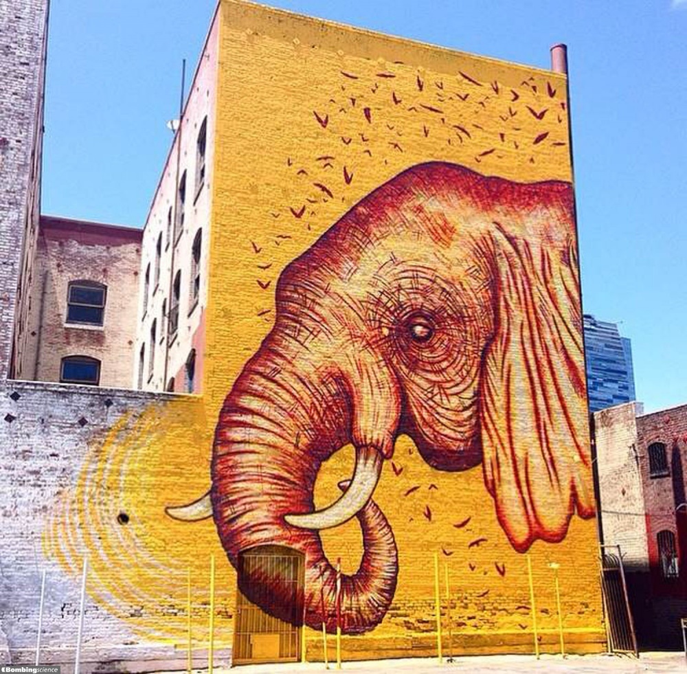 Jenna Morello - Bombing Science