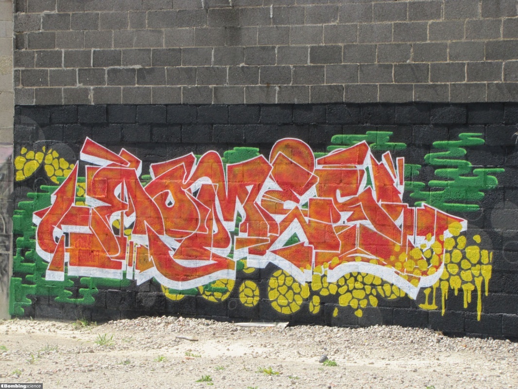 Detroit Walls - Bombing Science