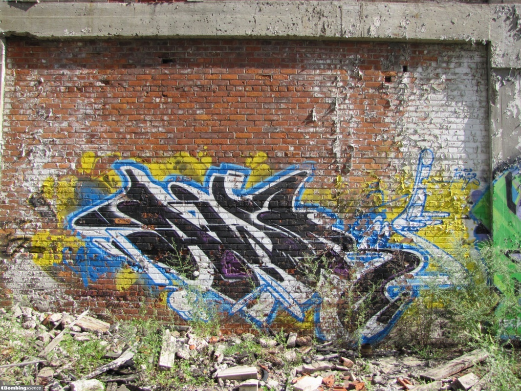 Detroit wall (8 pics) - Bombing Science