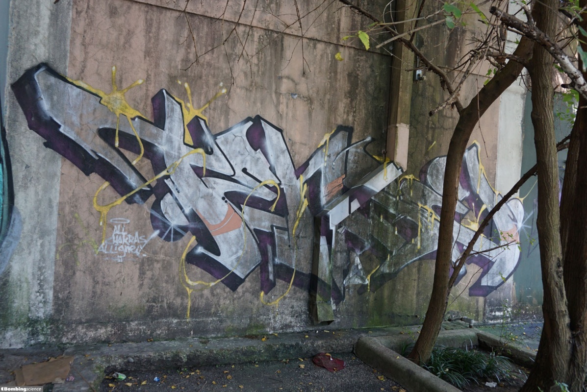 Houston Graffiti Art - Street Art and Murals in Houston