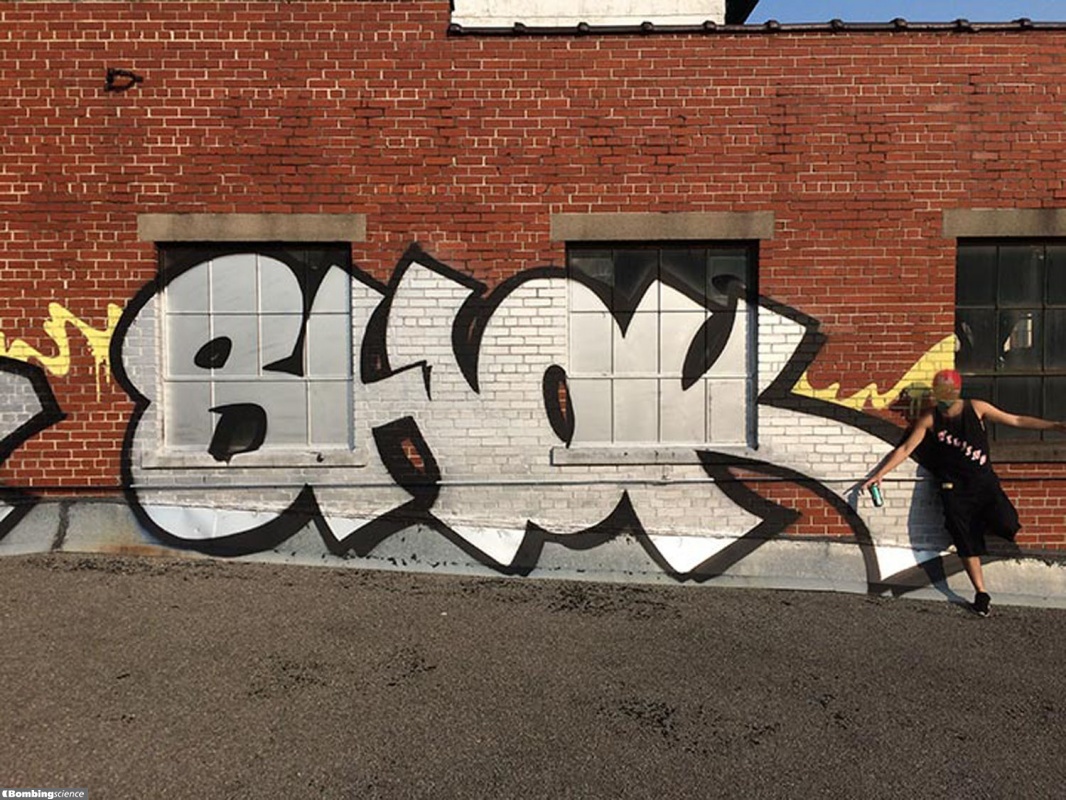 SHOK SIK - Summer silvers - Bombing Science