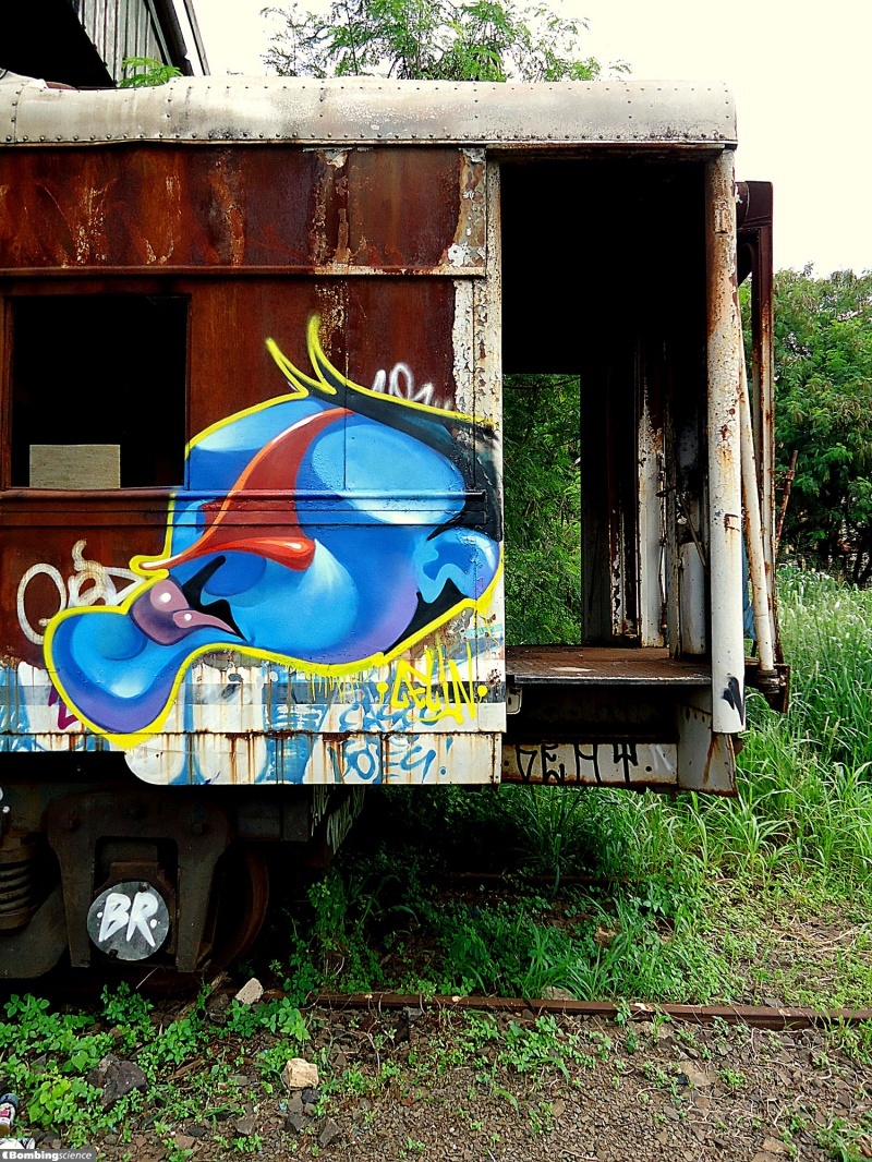 LELIN - Bombing Science