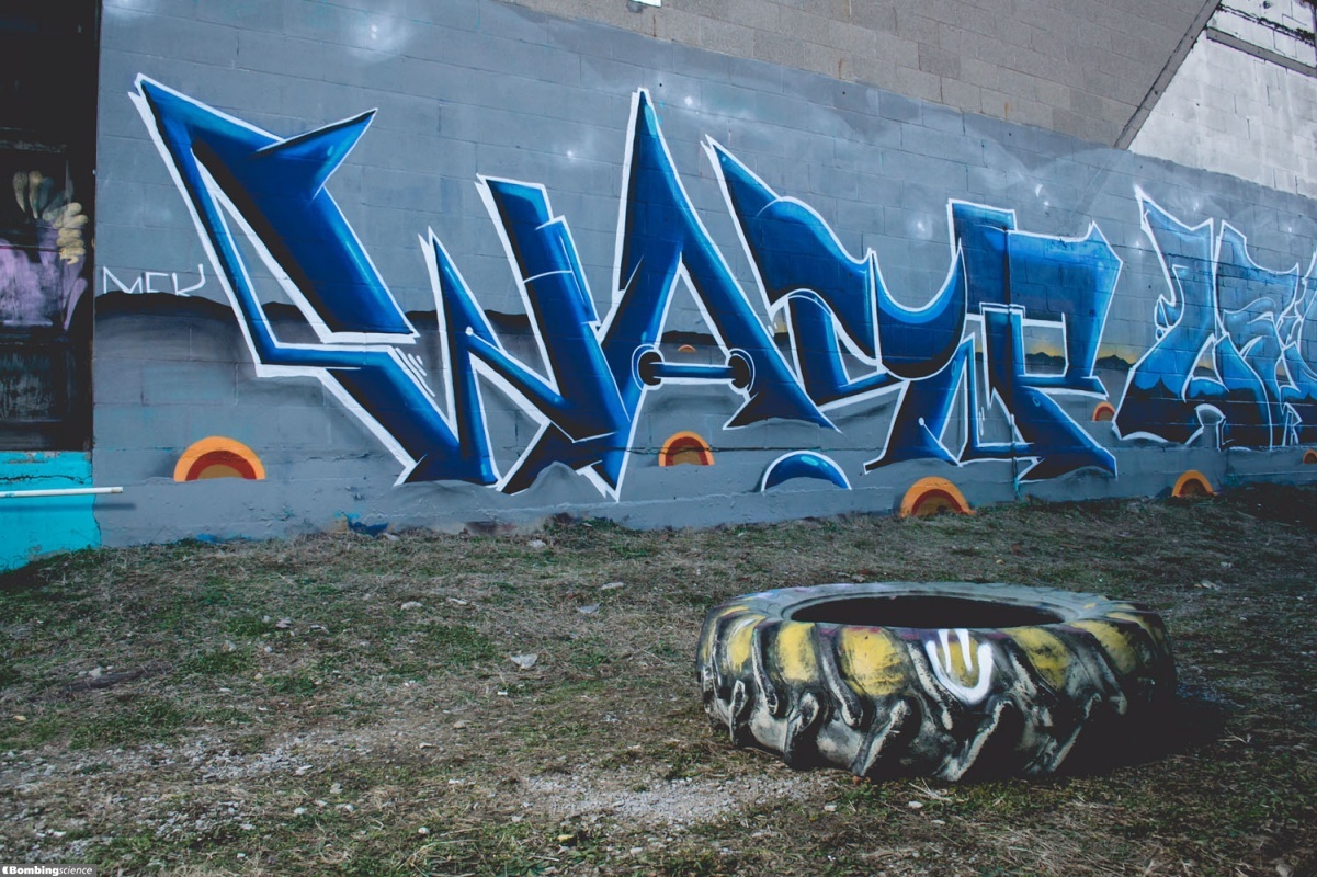 WASP & LEVIS x FLAME PAINT - Bombing Science