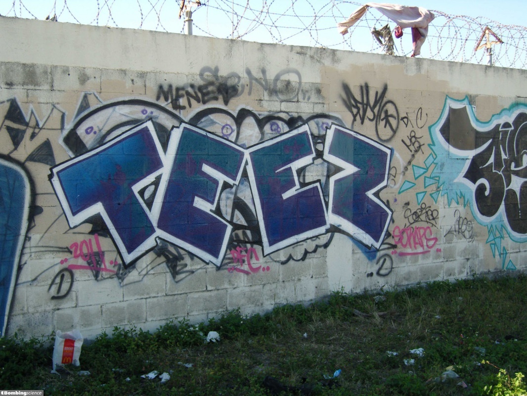 TEEZ Part 2 - Bombing Science