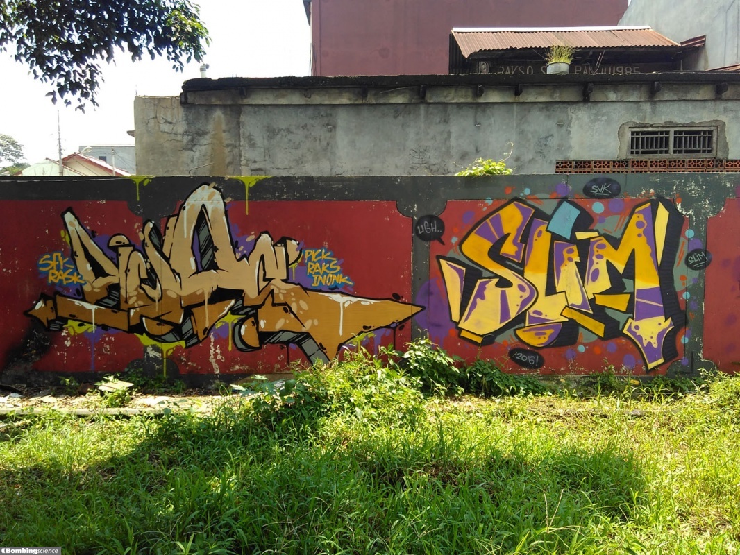 Slim graffiti pictures | Bombing Science