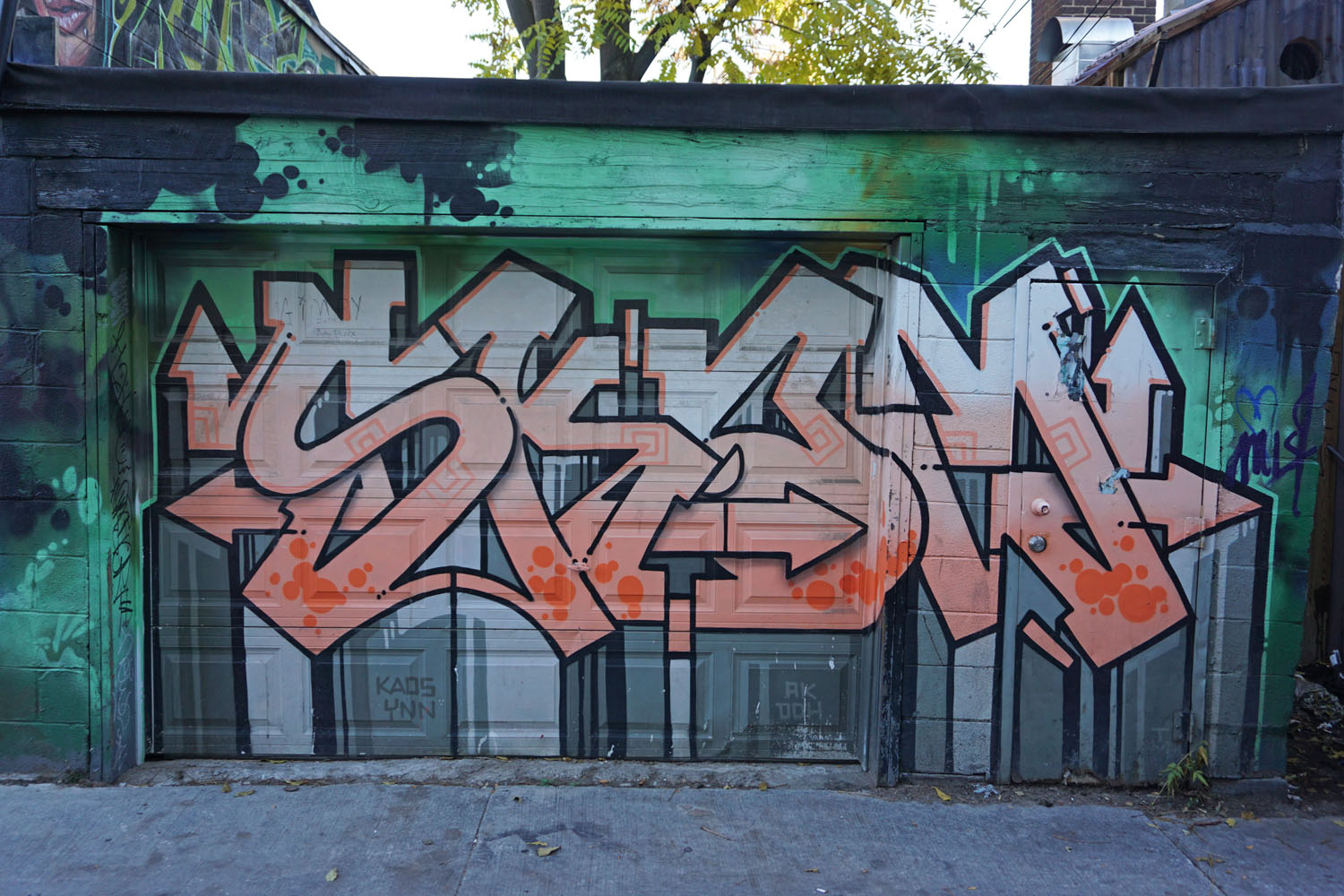 Skam graffiti pictures | Bombing Science
