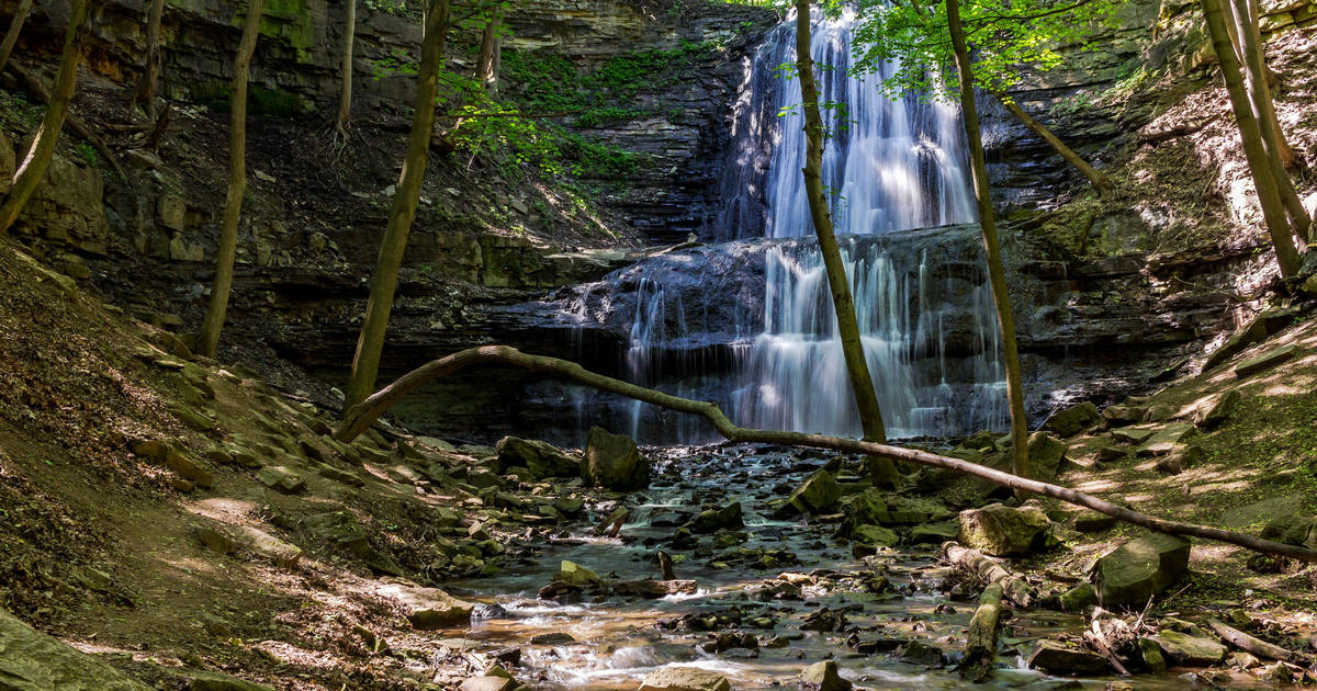 The top 5 waterfalls to visit in Hamilton