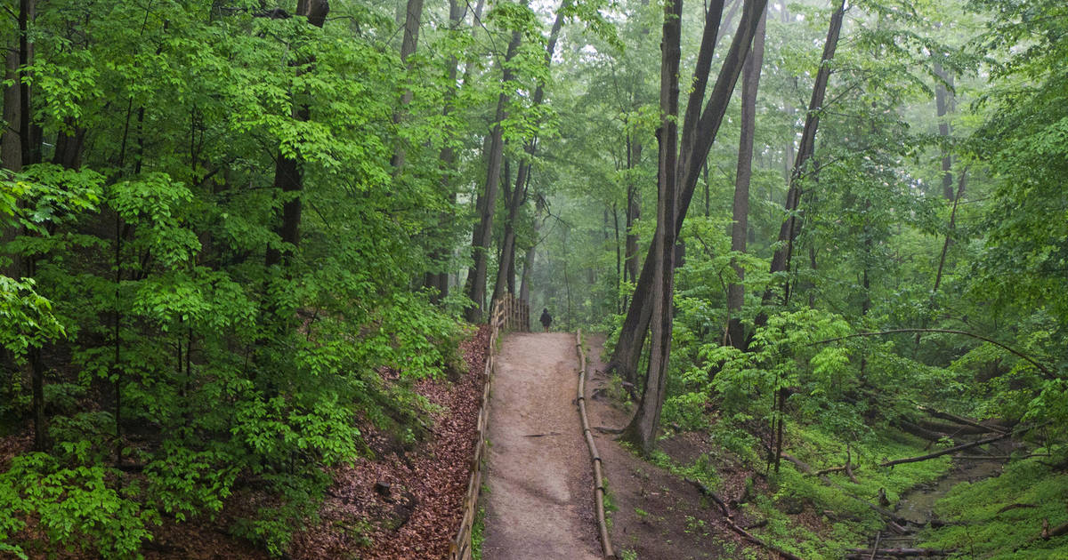 The top 7 ravines in Toronto