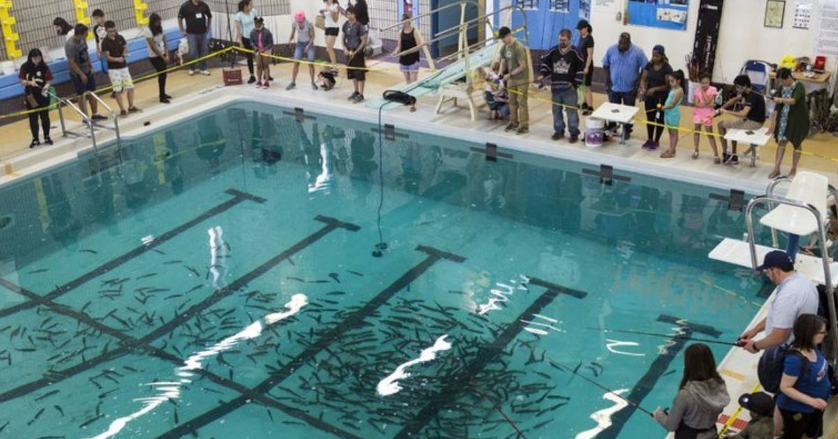 Indoor fishing returns to Toronto this weekend