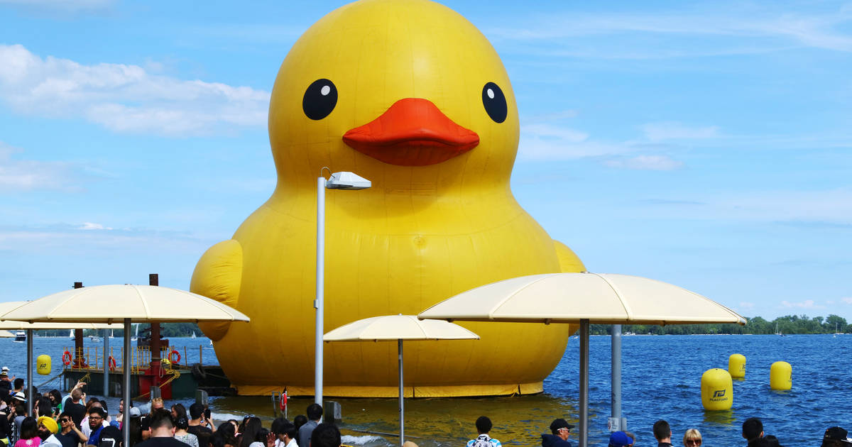 An unbelievable number of people visited the giant rubber duck in Toronto