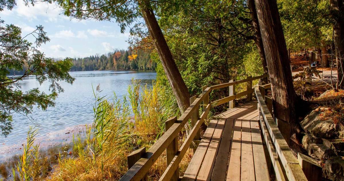 This elevated boardwalk is just one hour from Toronto
