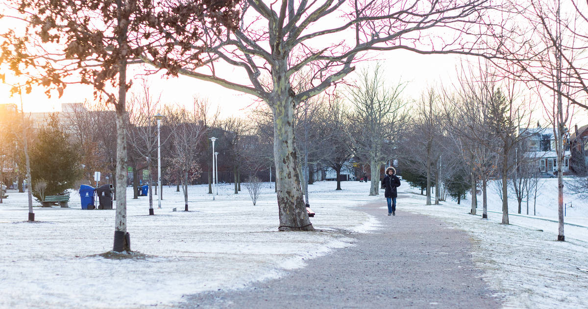 Toronto issues first extreme cold weather alert of the year