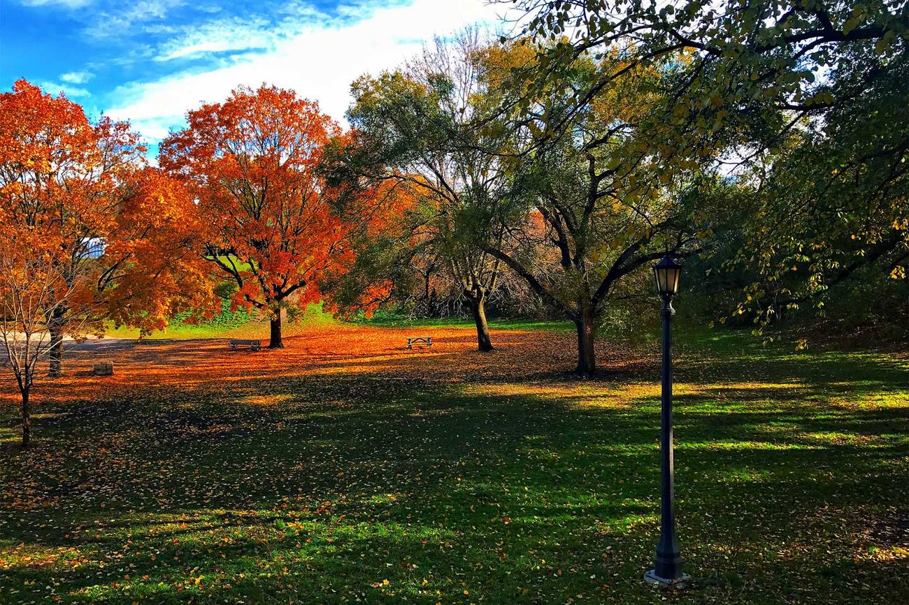 When will fall colours peak in Toronto for 2018?