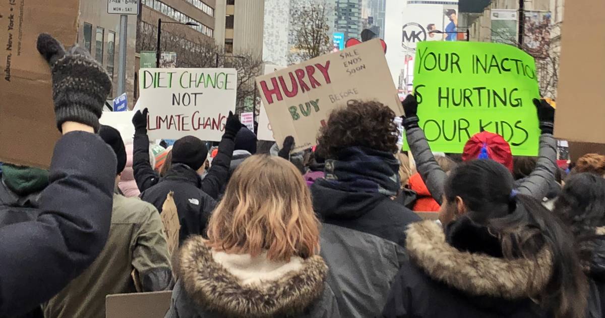 Black Friday climate strike march brings hundreds to the streets of Toronto
