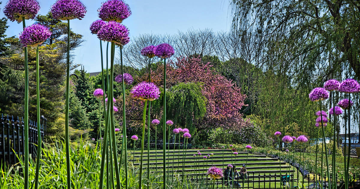 10 enchanting Toronto gardens where you can see and smell the flowers