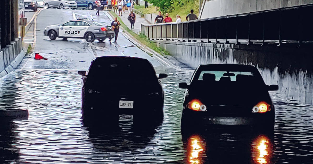 Today's thunderstorm caused flooding and wind damage all over Toronto
