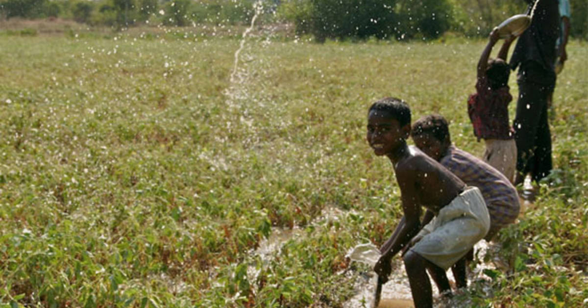 What Does It Mean To Be a Human Being?