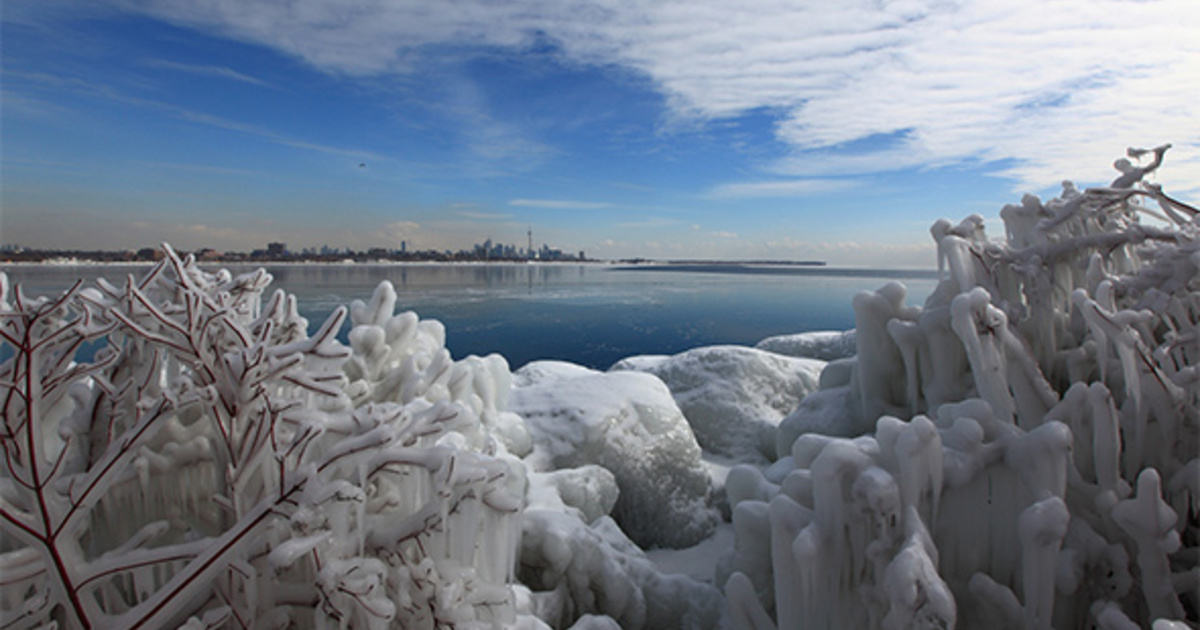 Cold winter in Toronto