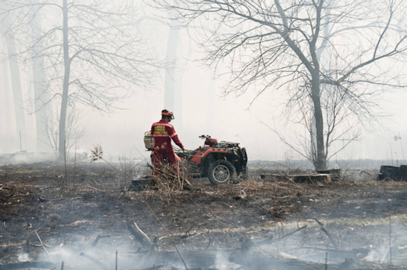 Thick smoke blankets High Park for controlled burn